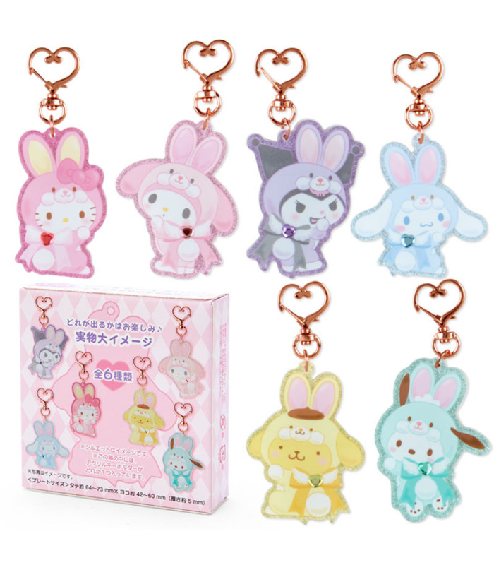Assorted Characters Key Chain: Secret Rabbit